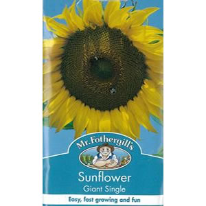 SEED - SUNFLOWER SINGLE GIANT - Garden Express
