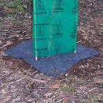 Tree Guard & Stakes - Garden Express