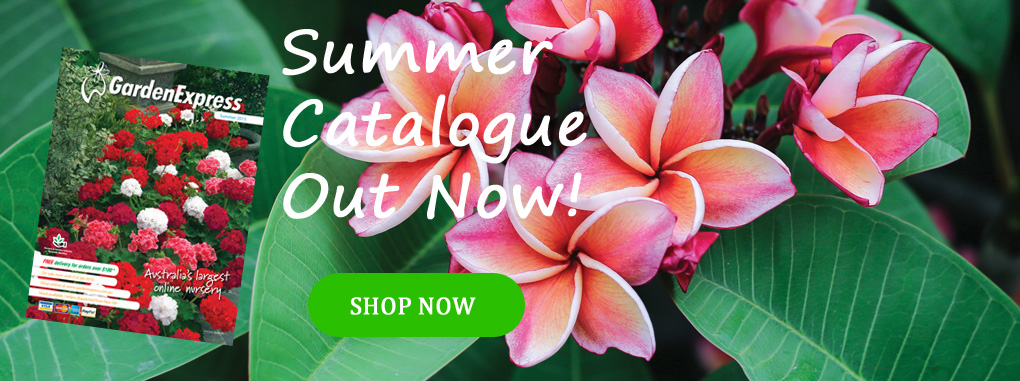 Australia's leading gardening supplier - Garden Express