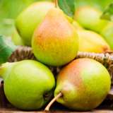 GENOA BLACK FIG - Garden Express