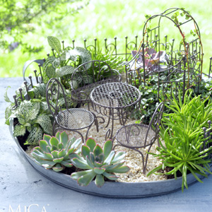 Australia's leading gardening supplier - Garden Express