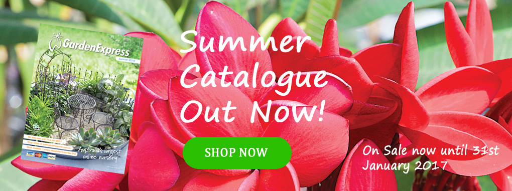 Australia's leading gardening supplier - Garden Express