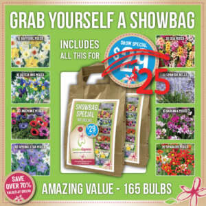 Spring Bulb Collections - Garden Express - Online Nursery