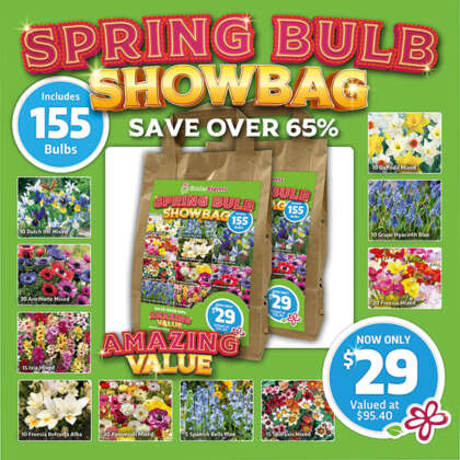 Bulbs - Garden Express - Australia's Largest Online Nursery