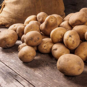Certified Seed Potatoes - Garden Express - Online Nursery
