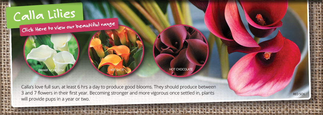Australia's largest online and mail order garden supplier - Garden Express
