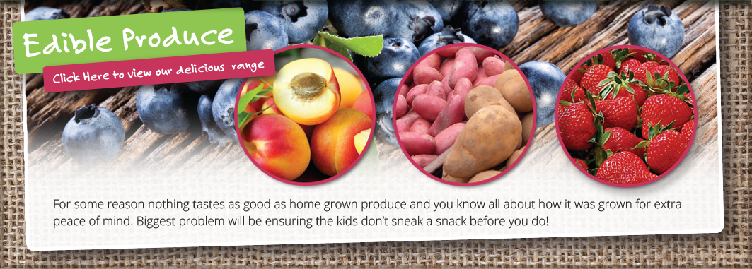 Australia's leading gardening supplier - Garden Express