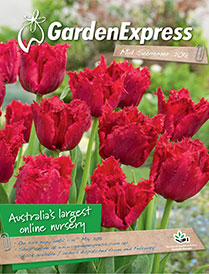 Catalogues - Garden Express