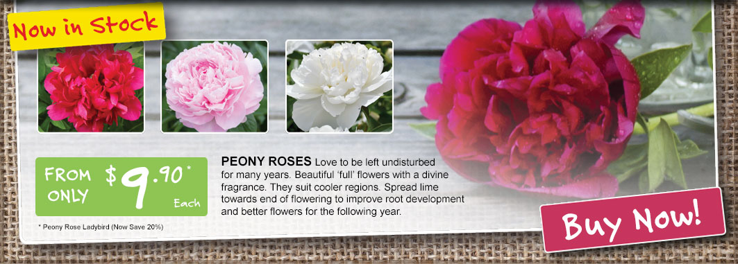 Australia's largest online and mail order garden supplier - Garden Express