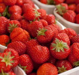 Strawberry Red Gauntlet - Garden Express