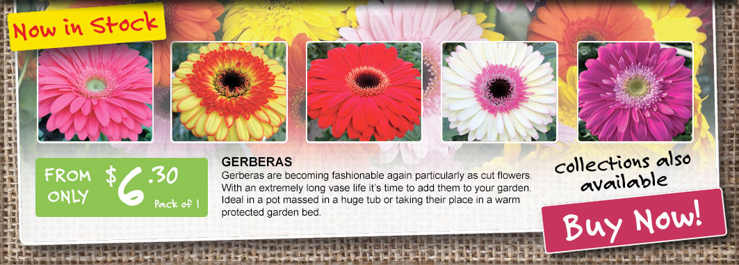 Australia's largest online and mail order garden supplier - Garden Express