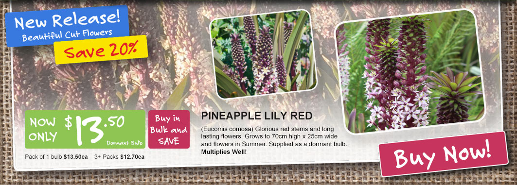 Australia's largest online and mail order garden supplier - Garden Express