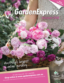Current Catalogue - Garden Express