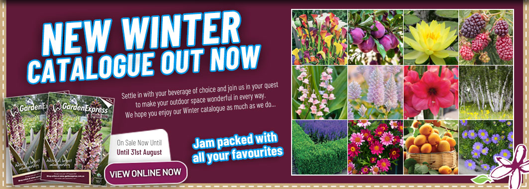 Australia's largest online and mail order garden supplier - Garden Express