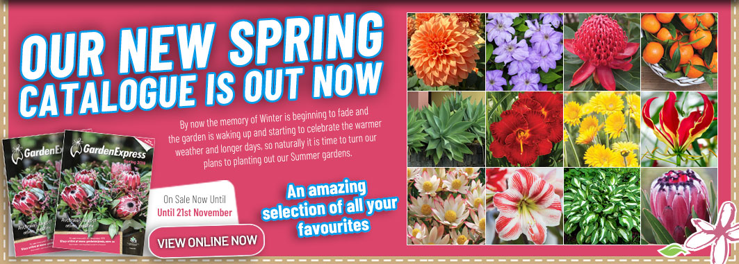Australia's largest online and mail order garden supplier - Garden Express