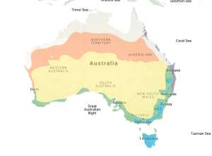 How To Grow Strawberries - Growing & Planting Guide - Garden Express