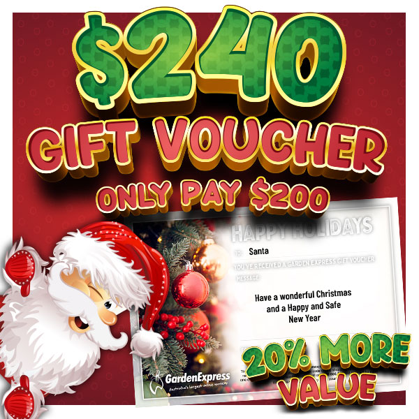 240 Dollar Garden Express Gift Voucher For 200 Dollars - Garden Express