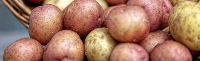 Seed Potato Varieties - Garden Express-Australia's Largest Online Nursery