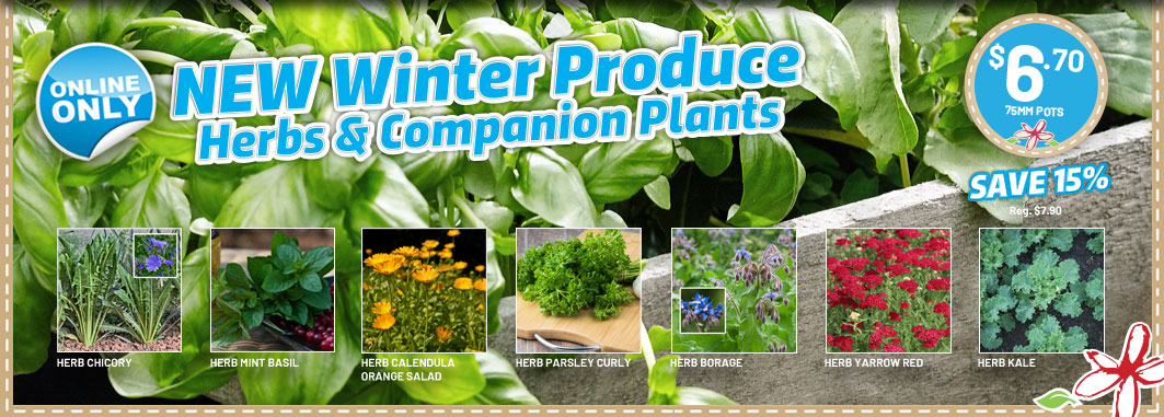 Australia's largest online and mail order garden supplier - Garden Express