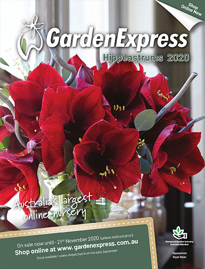 Catalogues - Garden Express