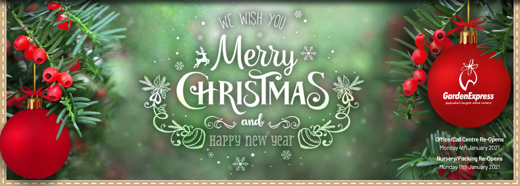 Australia's largest online and mail order garden supplier - Garden Express