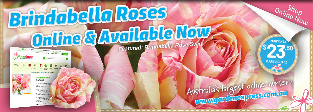 Australia's largest online and mail order garden supplier - Garden Express