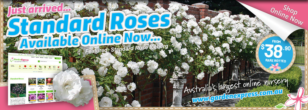 Australia's largest online and mail order garden supplier - Garden Express
