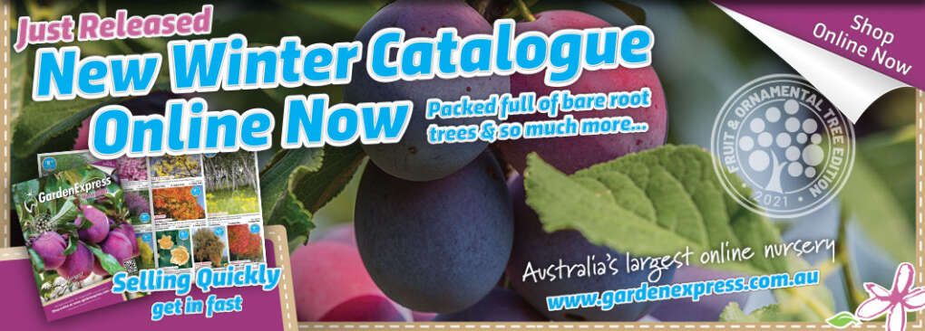 Australia's largest online and mail order garden supplier - Garden Express