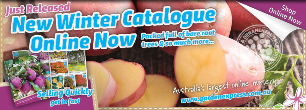 Australia's largest online and mail order garden supplier - Garden Express