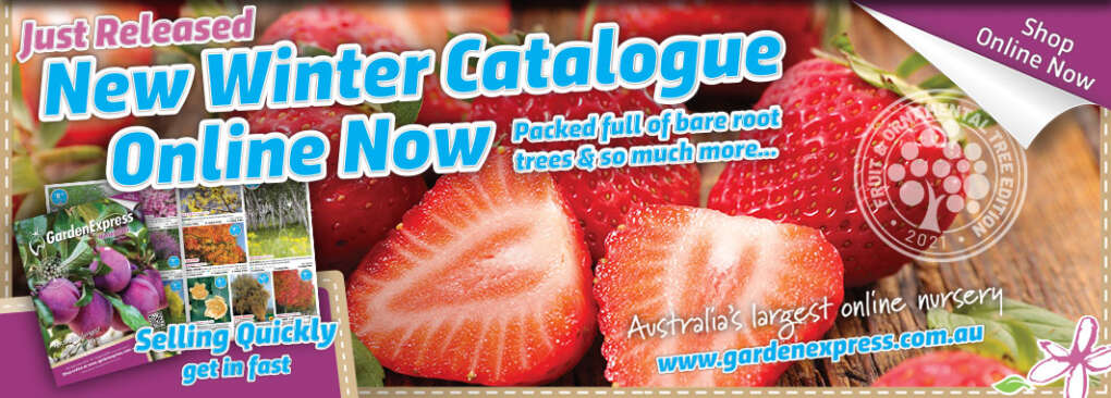Australia's largest online and mail order garden supplier - Garden Express