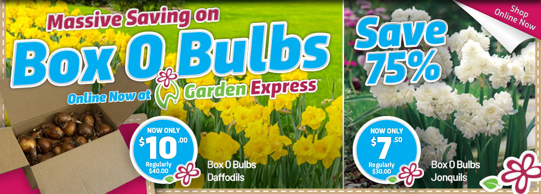 Garden Express Australia: Shop for All Your Gardening Needs