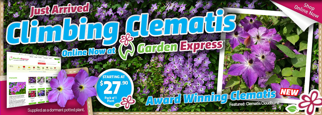 Garden Express Australia: Shop for All Your Gardening Needs