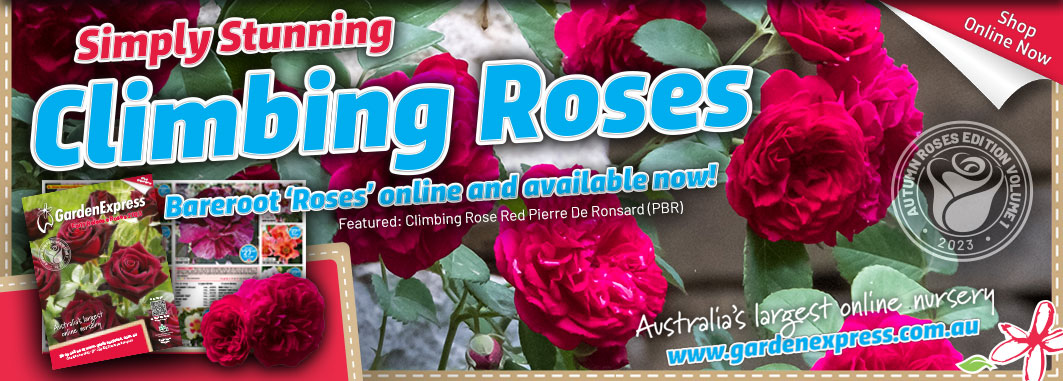 Australia's largest online and mail order garden supplier - Garden Express