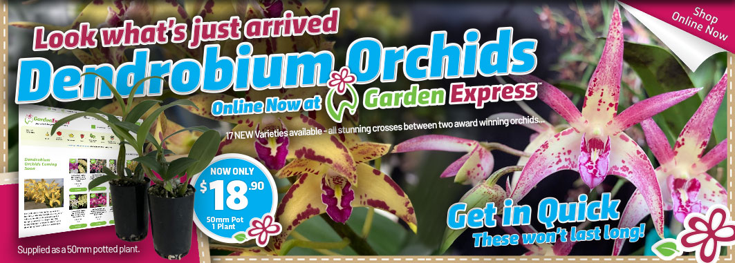 Garden Express Australia: Shop for All Your Gardening Needs