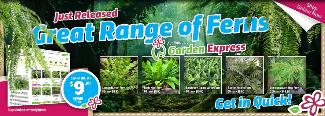 Garden Express Australia: Shop for All Your Gardening Needs