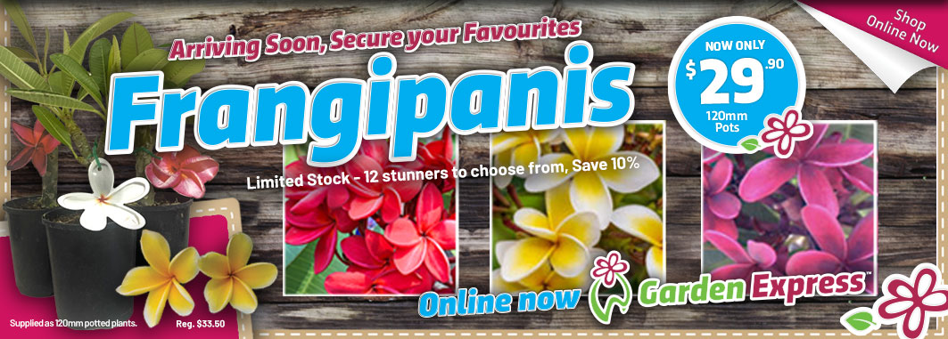 Garden Express Australia: Shop for All Your Gardening Needs