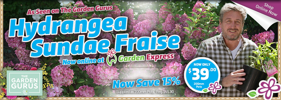 Garden Express Australia: Shop for All Your Gardening Needs