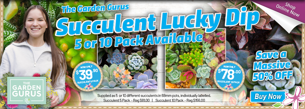 Australia's largest online and mail order garden supplier - Garden Express