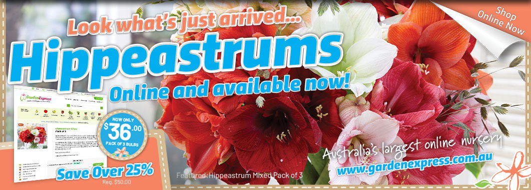 Australia's largest online and mail order garden supplier - Garden Express