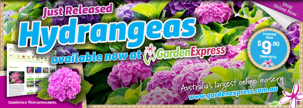 Australia's largest online and mail order garden supplier - Garden Express