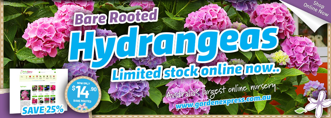 Australia's largest online and mail order garden supplier - Garden Express