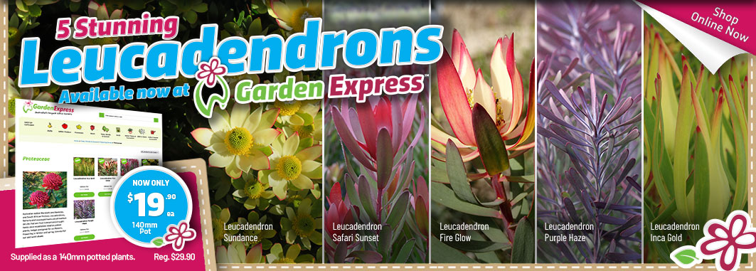 Australia's largest online and mail order garden supplier - Garden Express