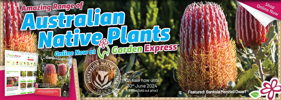 Garden Express Australia: Shop for All Your Gardening Needs