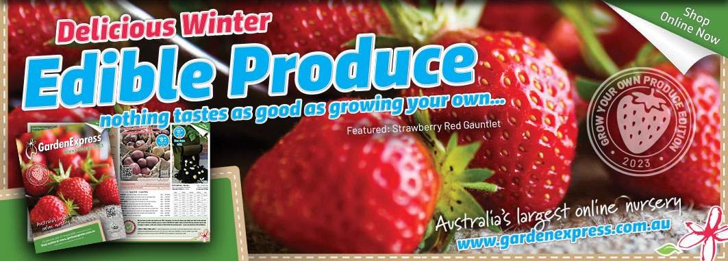 Australia's largest online and mail order garden supplier - Garden Express