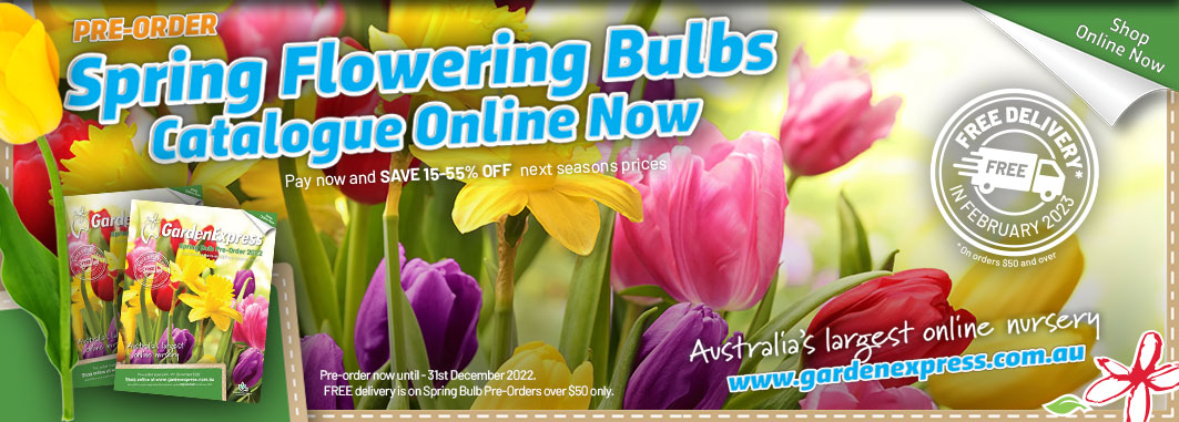 Australia's largest online and mail order garden supplier - Garden Express