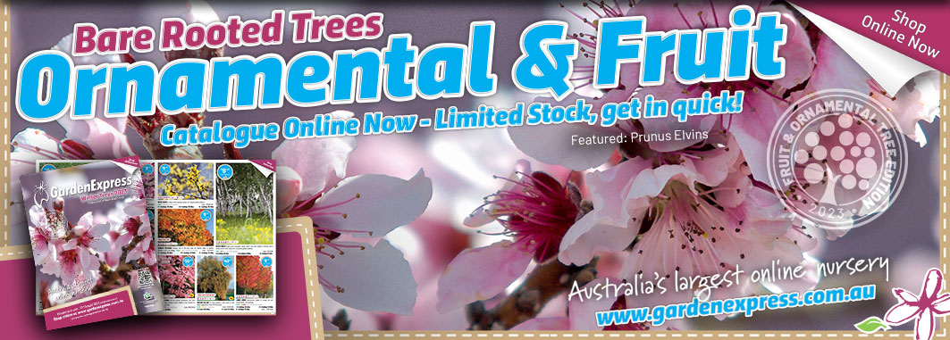 Australia's largest online and mail order garden supplier - Garden Express