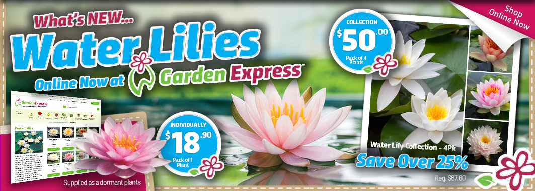 Garden Express Australia: Shop for All Your Gardening Needs