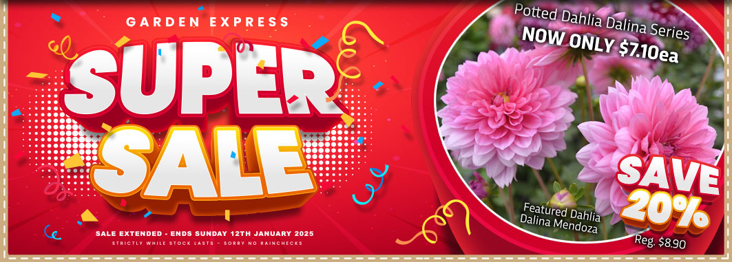 Garden Express Australia: Shop for All Your Gardening Needs