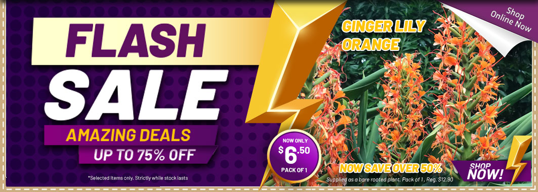 Garden Express Australia: Shop for All Your Gardening Needs