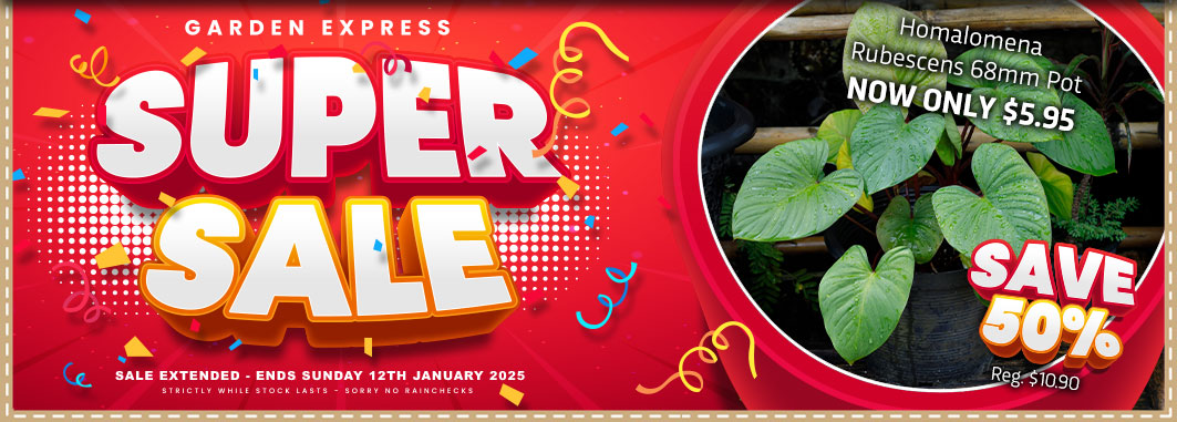 Garden Express Australia: Shop for All Your Gardening Needs